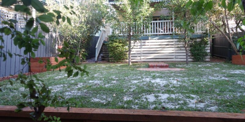 Washington St, Brunswick - Paragon Landscapes